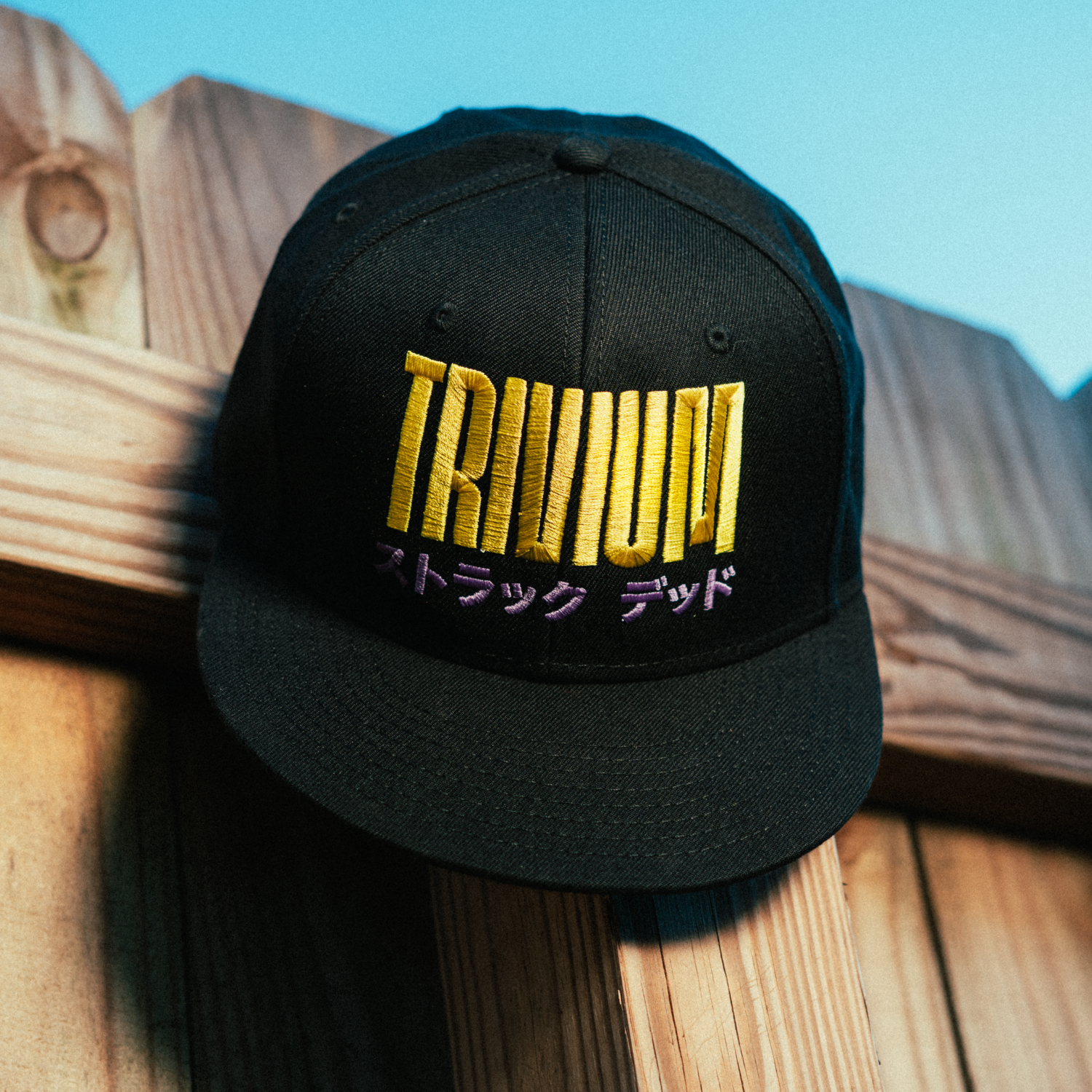 Struck Dead Embroidered Cap | Trivium Official Store